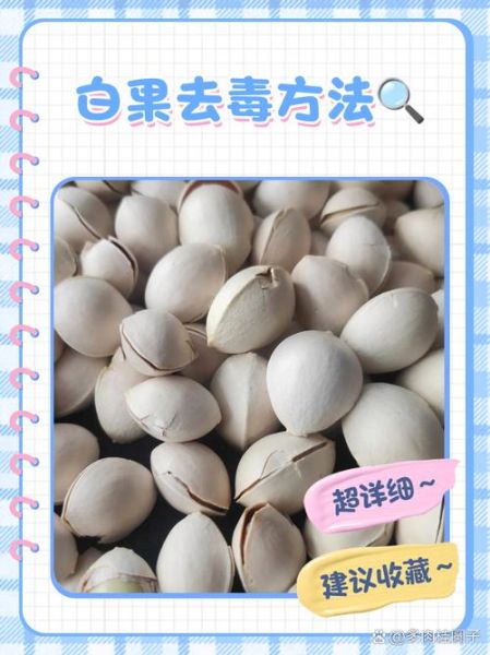 生白果怎么处理才能吃_生白果去毒方法-第1张图片-山城妙识