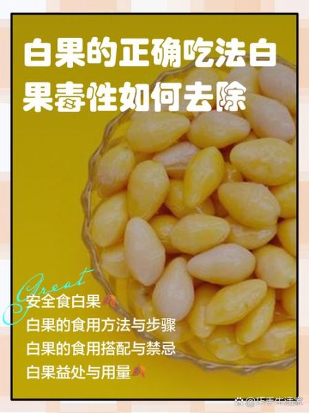 生白果怎么处理才能吃_生白果去毒方法-第3张图片-山城妙识