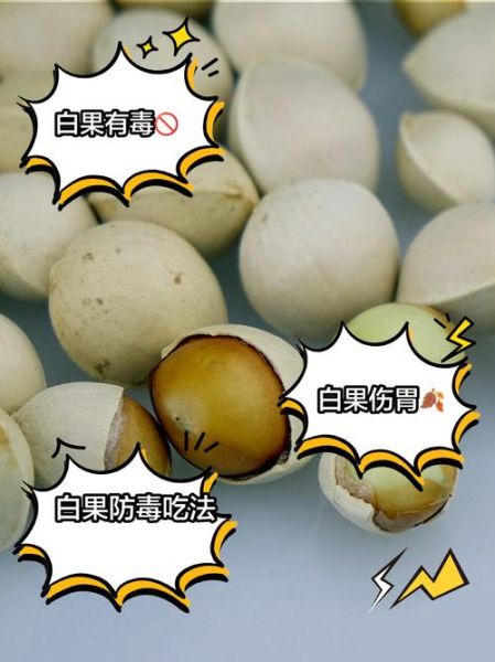 生白果怎么处理才能吃_生白果去毒方法-第2张图片-山城妙识
