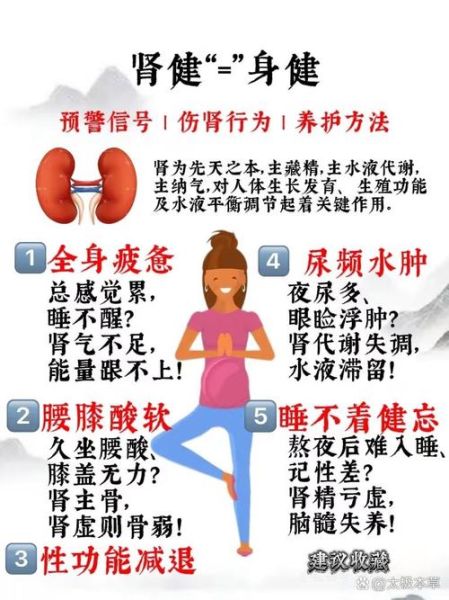 肾气开始恢复的征兆_如何判断肾气恢复-第3张图片-山城妙识