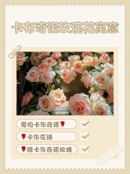 卡布奇诺玫瑰花语是什么_适合送什么人-第3张图片-山城妙识