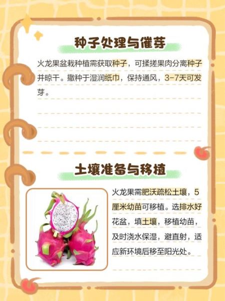 火龙果树怎么种_火龙果几年结果-第1张图片-山城妙识 火龙果树怎么种_火龙果几年结果-第1张图片-山城妙识