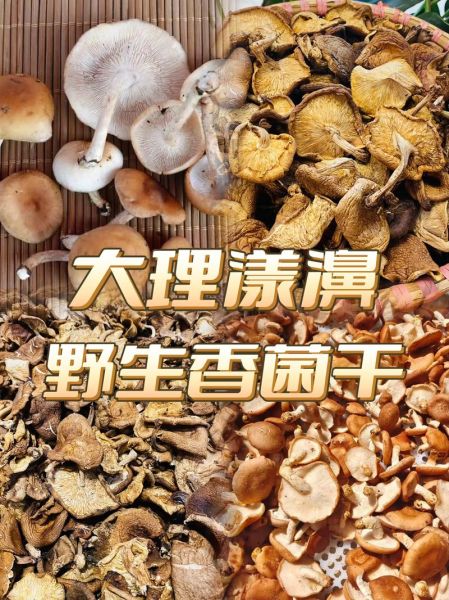 云南特产干货有哪些值得买_云南干货怎么保存-第2张图片-山城妙识