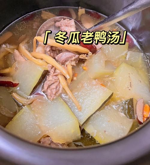 冬瓜汤去湿气吗_湿气重喝冬瓜汤有效吗-第3张图片-山城妙识