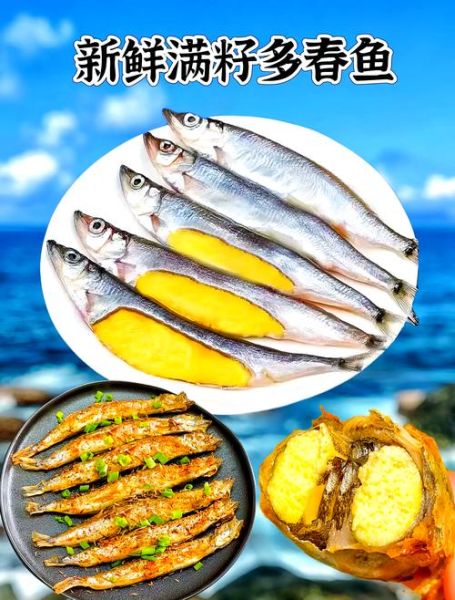 多春鱼的营养价值_孕妇能吃吗-第1张图片-山城妙识 多春鱼的营养价值_孕妇能吃吗-第1张图片-山城妙识