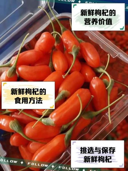 新鲜枸杞子的功效与作用_怎么吃效果最好-第2张图片-山城妙识 新鲜枸杞子的功效与作用_怎么吃效果最好-第2张图片-山城妙识