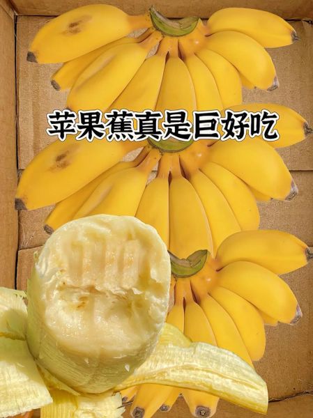 苹果和香蕉哪个营养价值更高_苹果和香蕉哪个更适合减肥-第3张图片-山城妙识 苹果和香蕉哪个营养价值更高_苹果和香蕉哪个更适合减肥-第3张图片-山城妙识