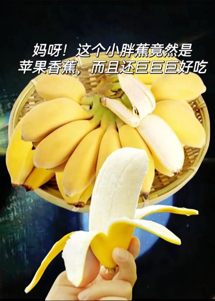 苹果和香蕉哪个营养价值更高_苹果和香蕉哪个更适合减肥-第2张图片-山城妙识 苹果和香蕉哪个营养价值更高_苹果和香蕉哪个更适合减肥-第2张图片-山城妙识