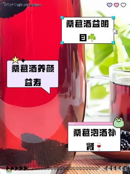 桑葚泡酒的做法_桑葚泡酒的功效与作用-第1张图片-山城妙识