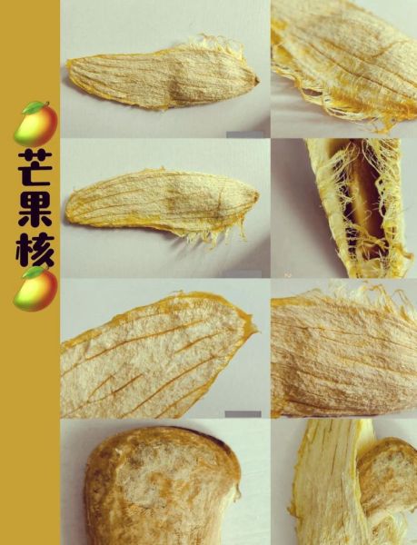 芒果怎么去皮去核_芒果切法图解-第2张图片-山城妙识