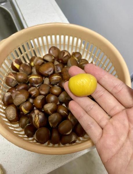 水煮栗子怎么做好吃_水煮栗子要煮多久-第1张图片-山城妙识 水煮栗子怎么做好吃_水煮栗子要煮多久-第1张图片-山城妙识