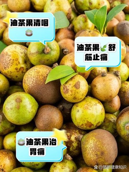 油茶果的功效与作用_油茶果怎么吃效果最好-第1张图片-山城妙识