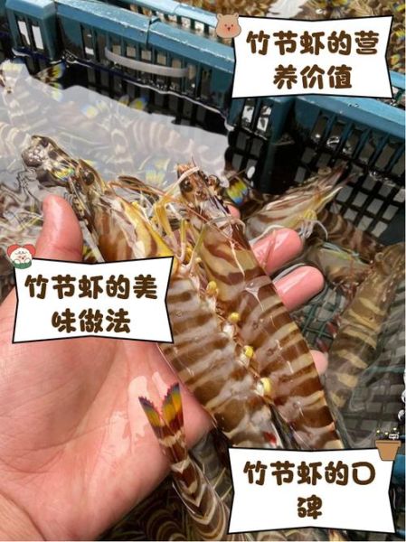 红烧竹节虾怎么做_红烧竹节虾用焯水吗-第2张图片-山城妙识