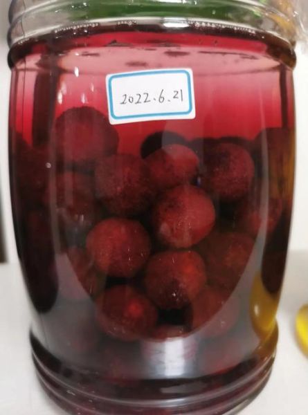 杨梅酒泡多久可以喝_杨梅酒最佳饮用时间-第2张图片-山城妙识