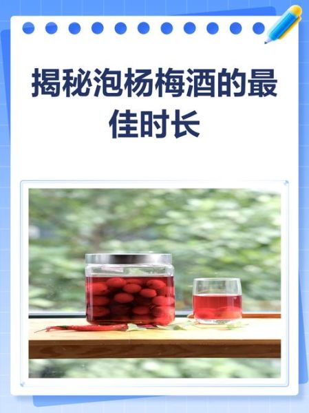 杨梅酒泡多久可以喝_杨梅酒最佳饮用时间-第1张图片-山城妙识
