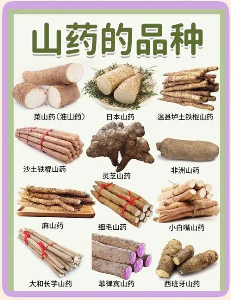 山药什么人不能吃_山药禁忌人群有哪些-第1张图片-山城妙识