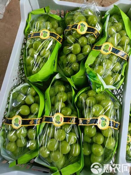 最好吃的提子品种有哪些_巨峰葡萄和阳光玫瑰哪个更甜-第3张图片-山城妙识 最好吃的提子品种有哪些_巨峰葡萄和阳光玫瑰哪个更甜-第3张图片-山城妙识