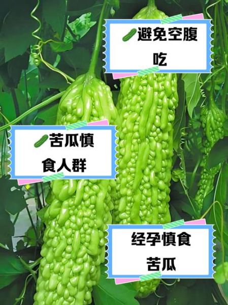 苦瓜不能和什么一起吃_苦瓜与哪些食物相克-第1张图片-山城妙识