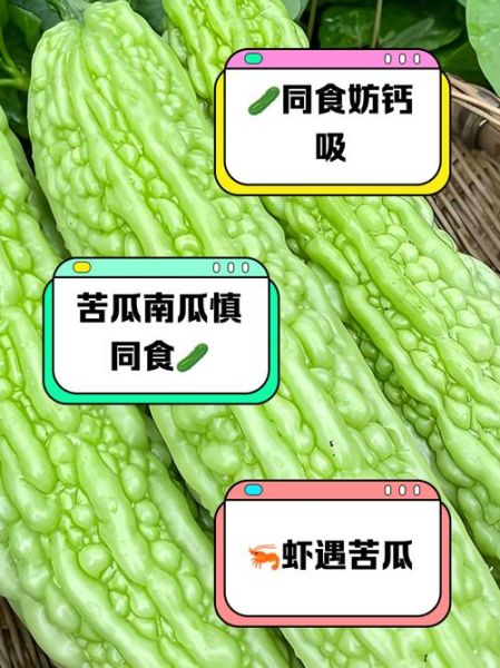 苦瓜不能和什么一起吃_苦瓜与哪些食物相克-第2张图片-山城妙识