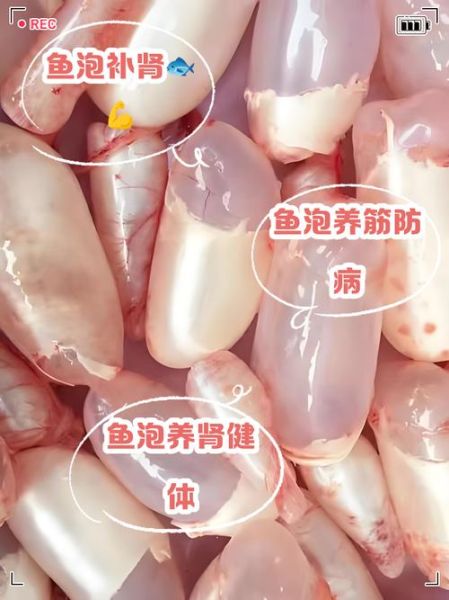 鱼泡有什么营养价值_鱼泡的功效与作用-第1张图片-山城妙识