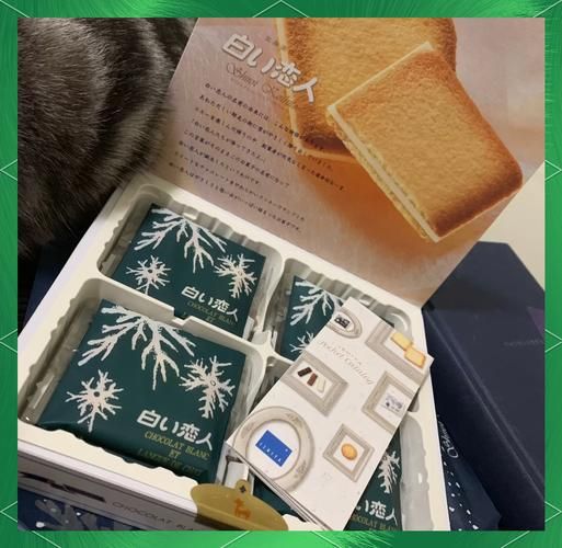 白色恋人饼干日本价格_哪里买最便宜-第2张图片-山城妙识