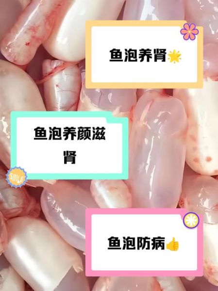 鱼泡有什么营养价值_鱼泡的功效与作用-第3张图片-山城妙识
