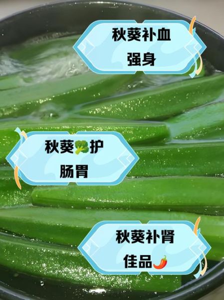 秋葵对男性性功能好吗_秋葵男人吃有哪些禁忌-第1张图片-山城妙识