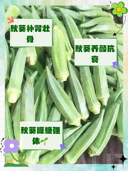 秋葵对男性性功能好吗_秋葵男人吃有哪些禁忌-第3张图片-山城妙识