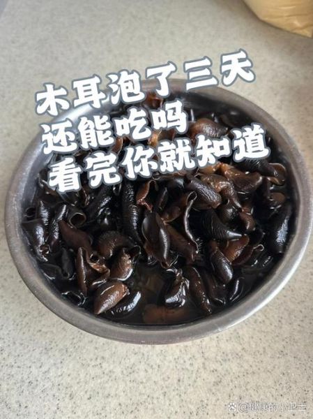 泡过的木耳隔夜能吃吗_木耳隔夜后怎么保存-第1张图片-山城妙识 泡过的木耳隔夜能吃吗_木耳隔夜后怎么保存-第1张图片-山城妙识
