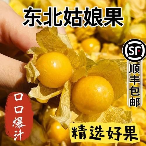 东北特产有哪些水果_东北水果几月份成熟-第3张图片-山城妙识 东北特产有哪些水果_东北水果几月份成熟-第3张图片-山城妙识