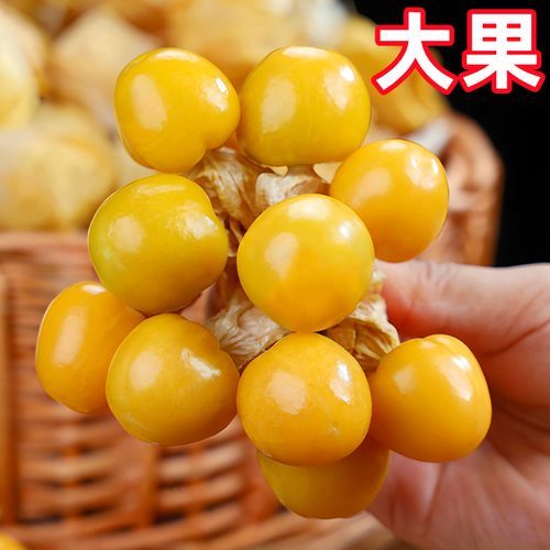 东北特产有哪些水果_东北水果几月份成熟-第2张图片-山城妙识 东北特产有哪些水果_东北水果几月份成熟-第2张图片-山城妙识