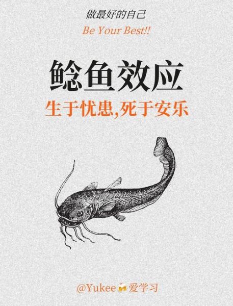 沙丁鱼比喻哪种人_沙丁鱼效应是什么意思-第2张图片-山城妙识 沙丁鱼比喻哪种人_沙丁鱼效应是什么意思-第2张图片-山城妙识