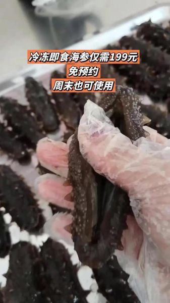 晓芹海参多少钱一斤_晓芹海参怎么泡发最好-第2张图片-山城妙识