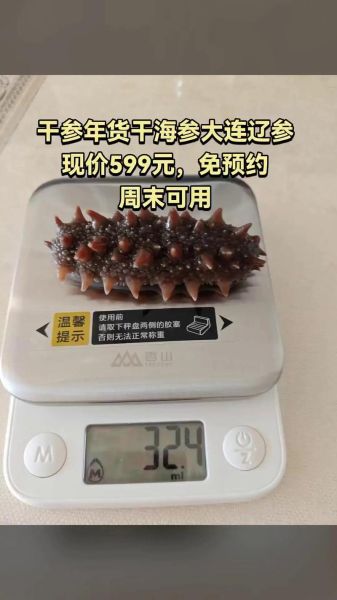 晓芹海参多少钱一斤_晓芹海参怎么泡发最好-第1张图片-山城妙识