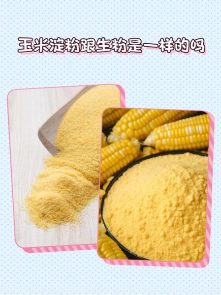 玉米淀粉跟生粉一样吗_生粉可以替代玉米淀粉吗-第1张图片-山城妙识