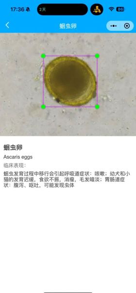 如何判断自己体内有寄生虫_寄生虫检测方法有哪些-第1张图片-山城妙识 如何判断自己体内有寄生虫_寄生虫检测方法有哪些-第1张图片-山城妙识