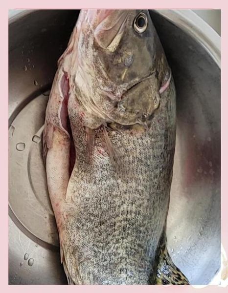 新鲜鳜鱼怎么做好吃_清蒸鳜鱼的做法步骤-第1张图片-山城妙识