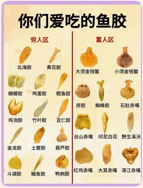 花胶的功效与作用_花胶的正确吃法-第1张图片-山城妙识