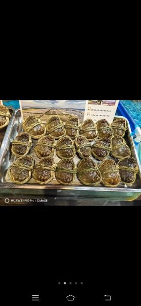 蟹膏黑色是什么原因_蟹膏发黑还能吃吗-第1张图片-山城妙识