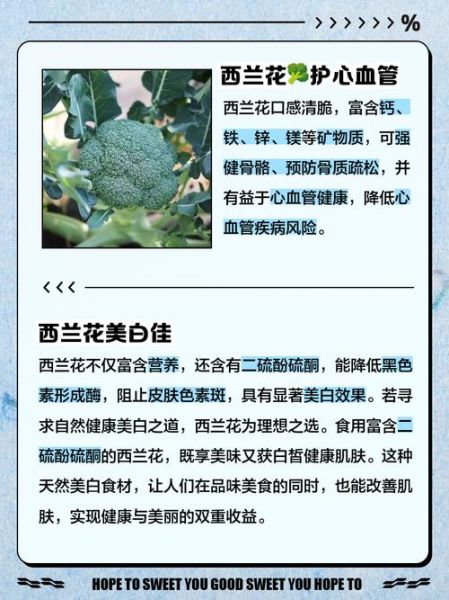 西兰花营养价值高吗_西兰花有哪些营养成分-第2张图片-山城妙识 西兰花营养价值高吗_西兰花有哪些营养成分-第2张图片-山城妙识
