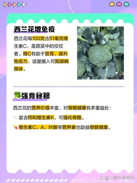 西兰花营养价值高吗_西兰花有哪些营养成分-第3张图片-山城妙识 西兰花营养价值高吗_西兰花有哪些营养成分-第3张图片-山城妙识