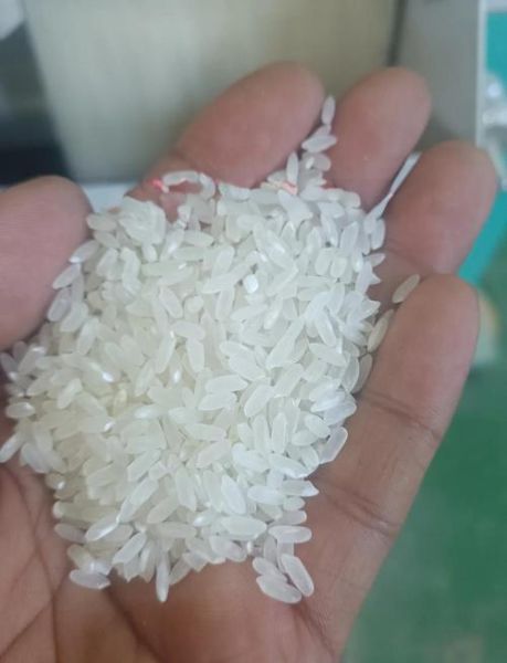 五常大米是粳米还是籼米_五常大米口感为什么好-第1张图片-山城妙识 五常大米是粳米还是籼米_五常大米口感为什么好-第1张图片-山城妙识