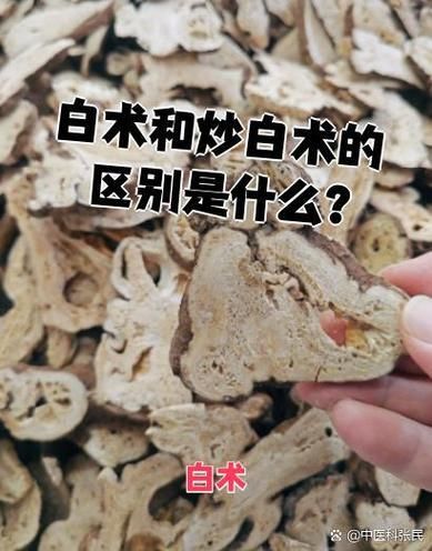 脾虚用生白术还是炒白术_区别与选择-第3张图片-山城妙识