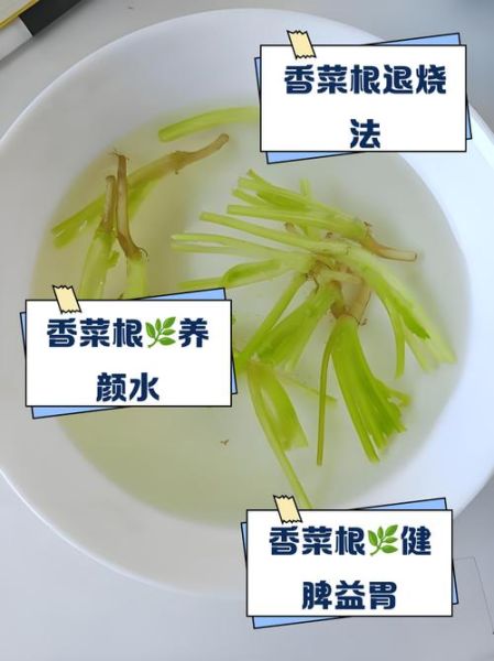 香菜根煮水祛斑有效吗_香菜根祛斑多久见效-第1张图片-山城妙识 香菜根煮水祛斑有效吗_香菜根祛斑多久见效-第1张图片-山城妙识
