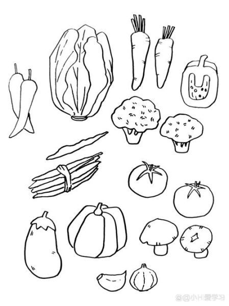 蔬菜简笔画大全_如何教孩子画蔬菜-第2张图片-山城妙识 蔬菜简笔画大全_如何教孩子画蔬菜-第2张图片-山城妙识