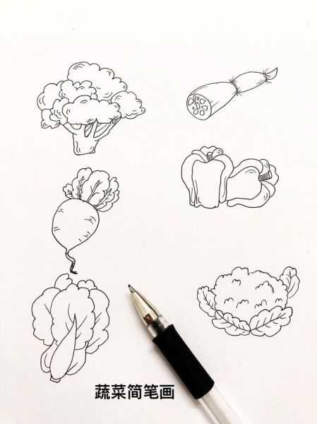 蔬菜简笔画大全_如何教孩子画蔬菜-第3张图片-山城妙识 蔬菜简笔画大全_如何教孩子画蔬菜-第3张图片-山城妙识