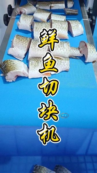 鲫鱼怎么切块_鲫鱼切块技巧-第2张图片-山城妙识 鲫鱼怎么切块_鲫鱼切块技巧-第2张图片-山城妙识