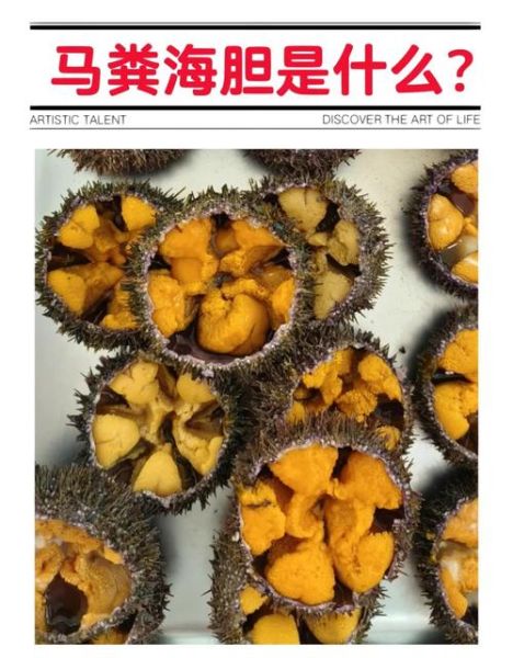 马粪海胆图片长什么样_如何分辨真假马粪海胆-第1张图片-山城妙识