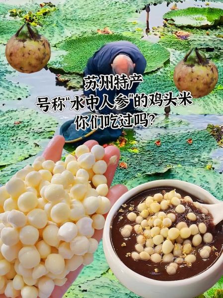 鸡头米怎么煮好吃_鸡头米的功效与作用-第2张图片-山城妙识