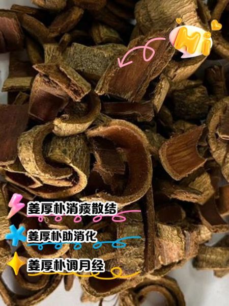 厚朴的功效与作用及禁忌_什么人不能吃厚朴-第1张图片-山城妙识